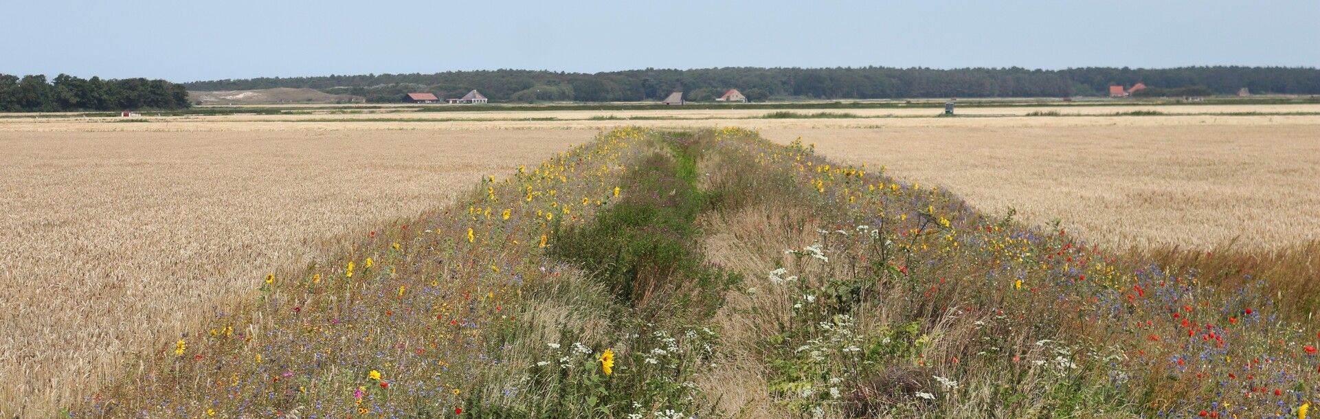 Lerend Netwerk Texel - De Lieuw